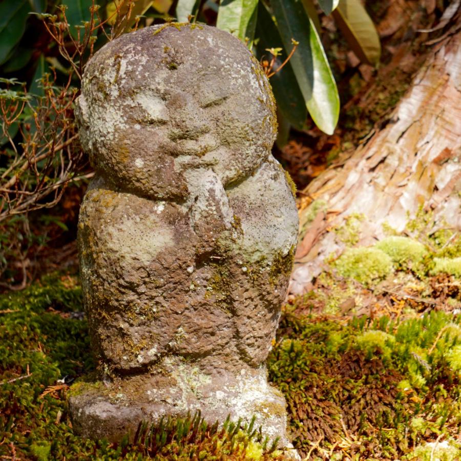 Lingna：サポーター一覧 - CHEERZ