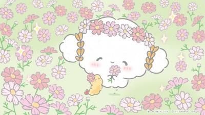 haruna watanabe - CHEERZ