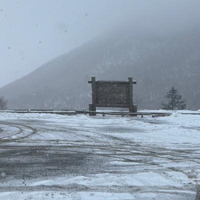 haruna watanabe - CHEERZ